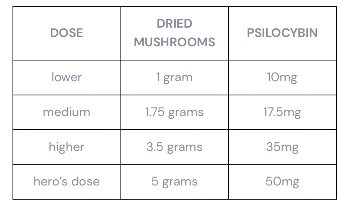 The Beginners Guide To Microdosing Shrooms Scheduling And Dosage Tips